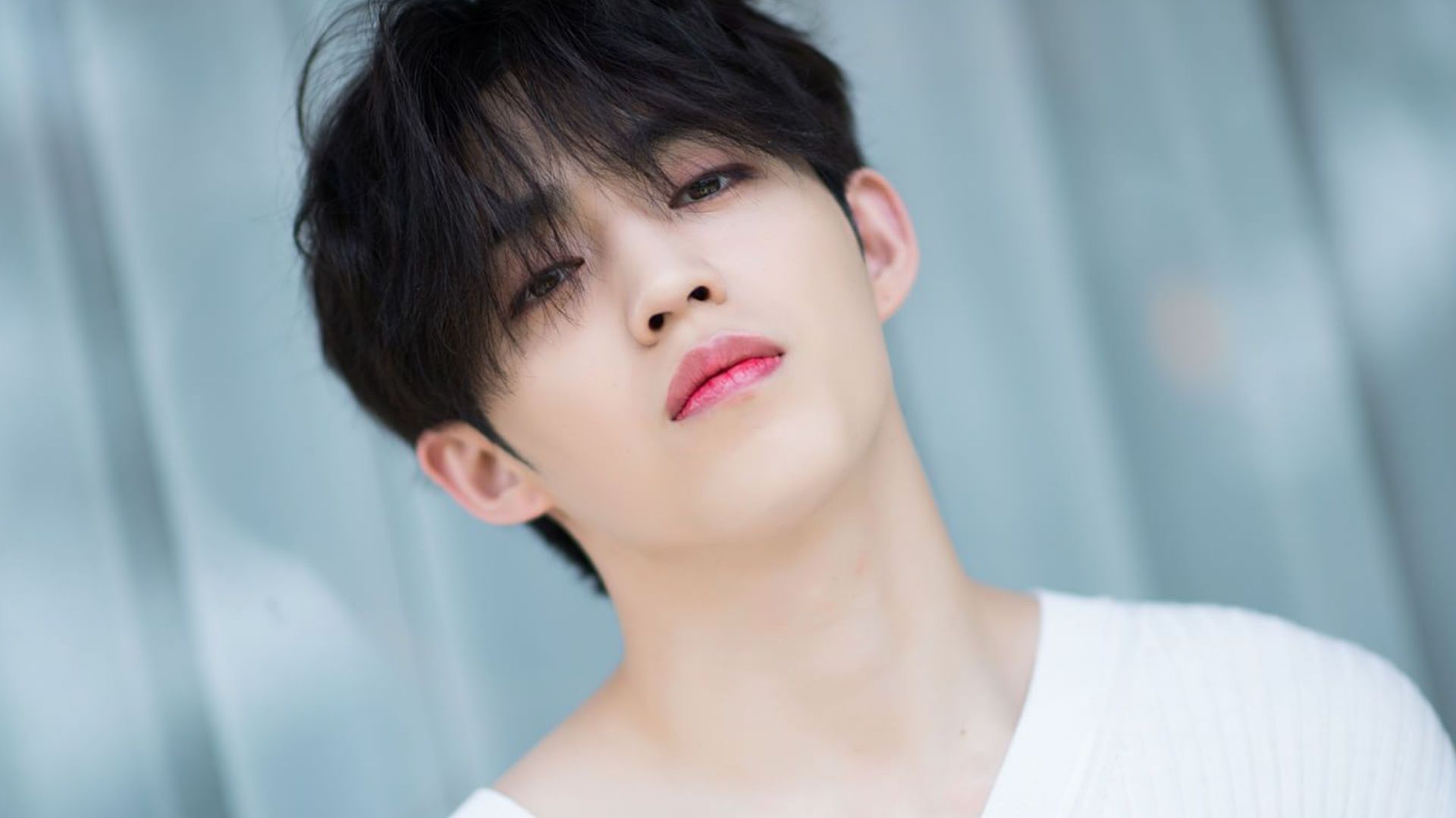 S.Coups de SEVENTEEN habría reaccionado a la petición firmada de Han ...