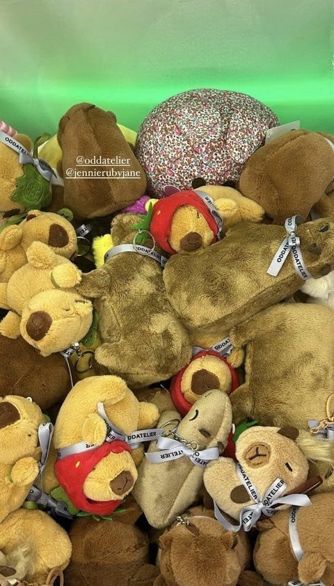 Jennie de BLACKPINK celebra una fiesta de inauguración para su agencia ...