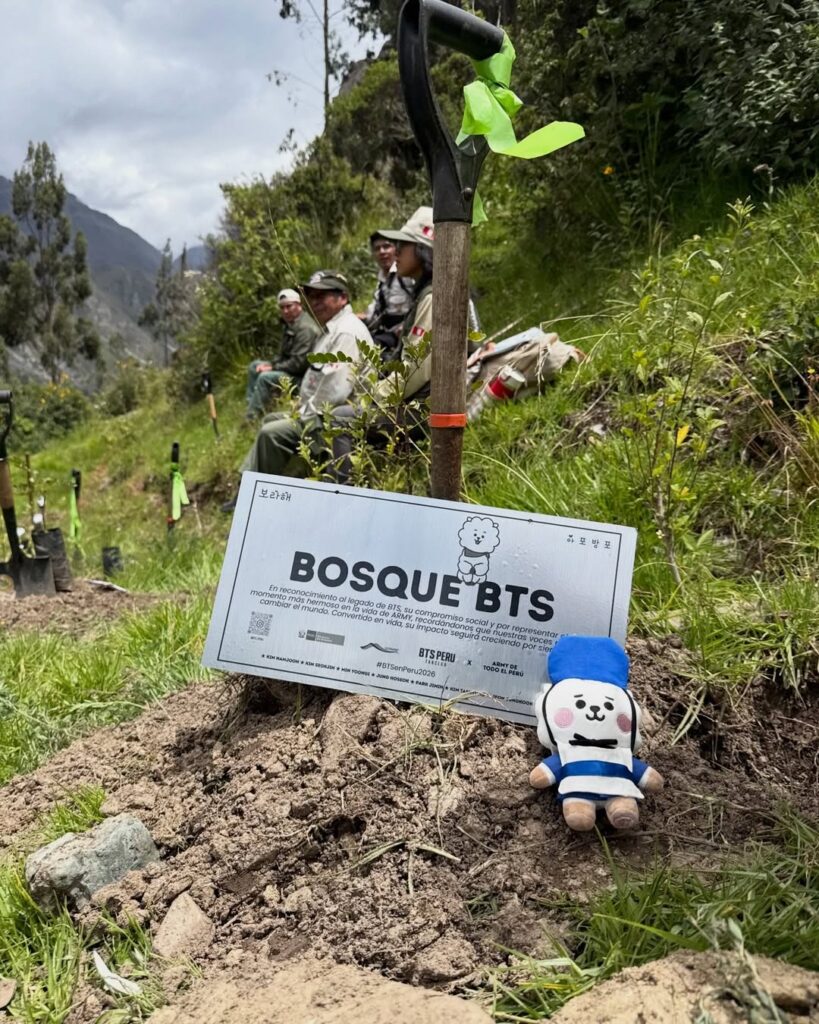 Llevan dos mil: ARMY de Perú planea reforestar un millón de árboles en ...